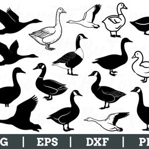 Goose Svg, Goose Silhouette, Goose Vector, Flying Goose Dxf, Png - Etsy