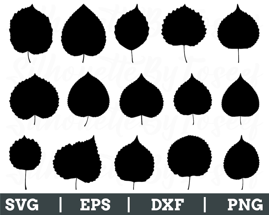 Aspen Leaf Svg, Aspen Leaf Silhouette, Aspen Leaf Vector, Leaf Cut File ...