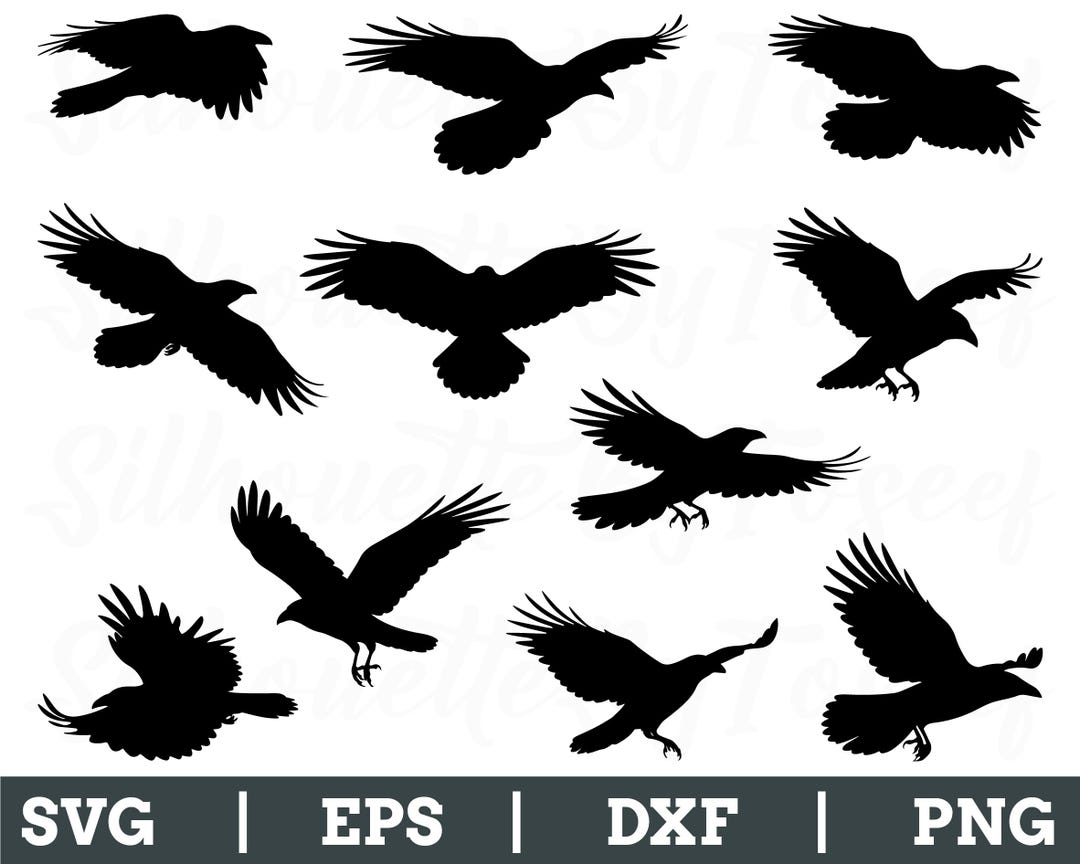Flying Crow Svg, Crow Silhouette, Crow Vector, Crow Cut File, Dxf, Png ...