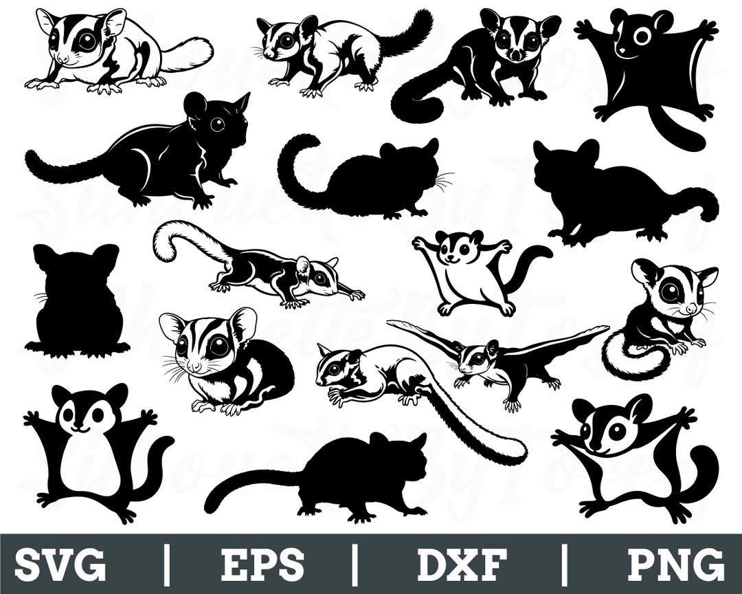 Sugar Glider Svg, Sugar Glider Silhouette, Sugar Glider Vector, Dxf ...