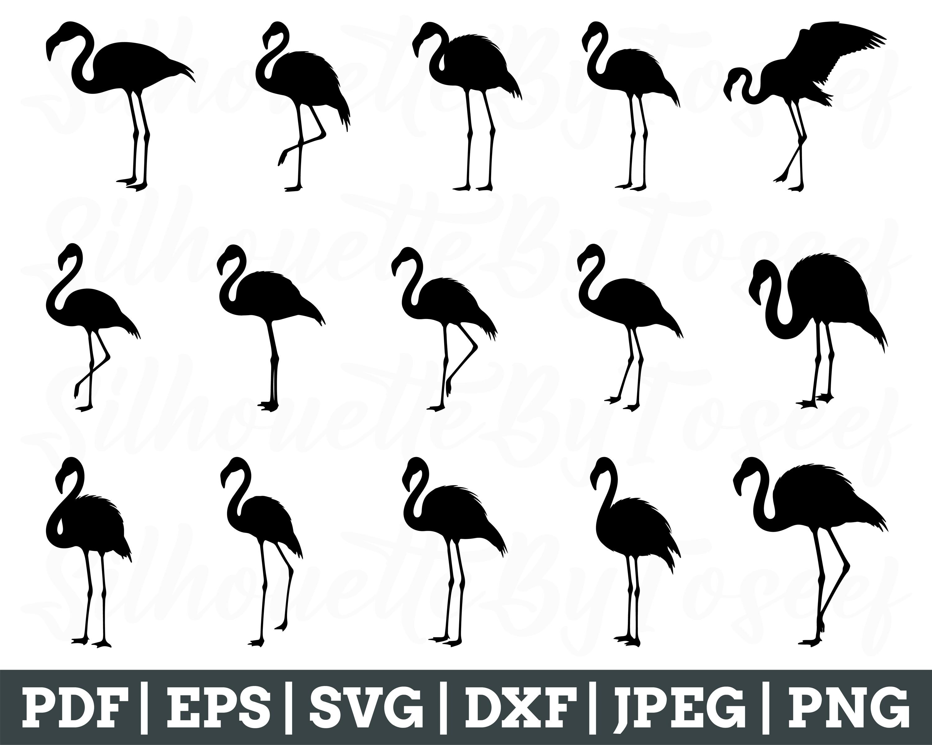 Flamingo Svg, Flamingo Silhouette, Flamingo Vector, Flamingo Cut File ...