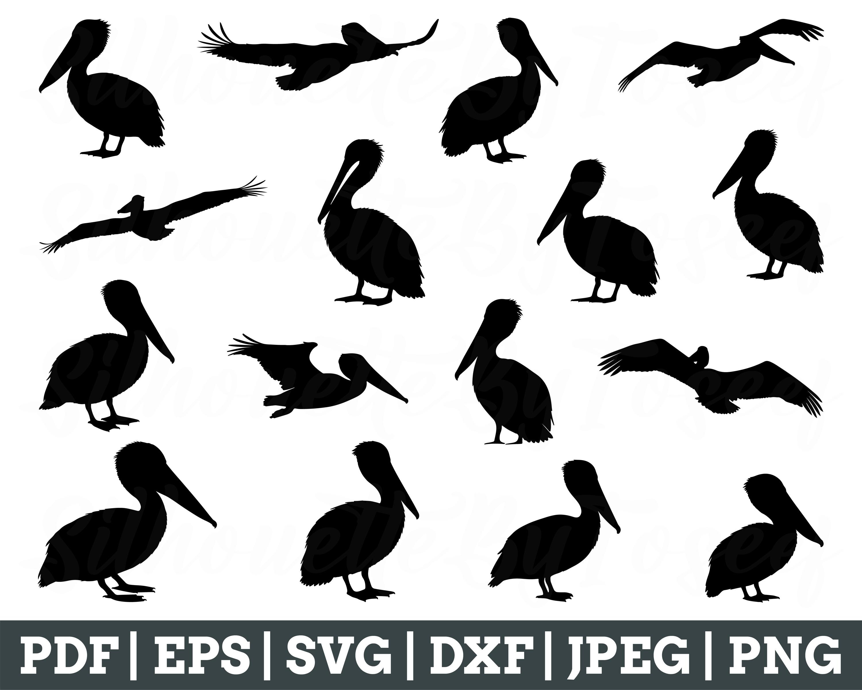 Pelican Bird Svg, Pelican Bird Cut File, Pelican Birds Cricut, Jpeg ...