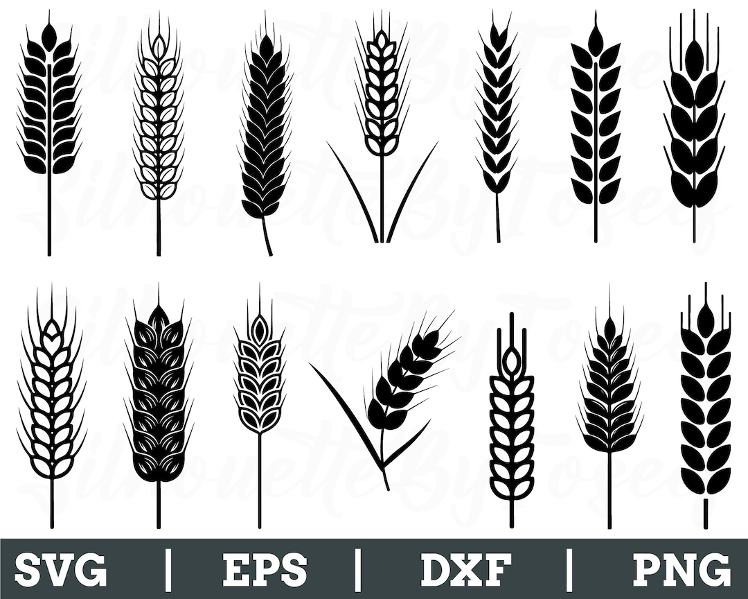Wheat Svg, Wheat Vector, Wheat Silhouette, Wheat Icon Dxf, Png - Etsy