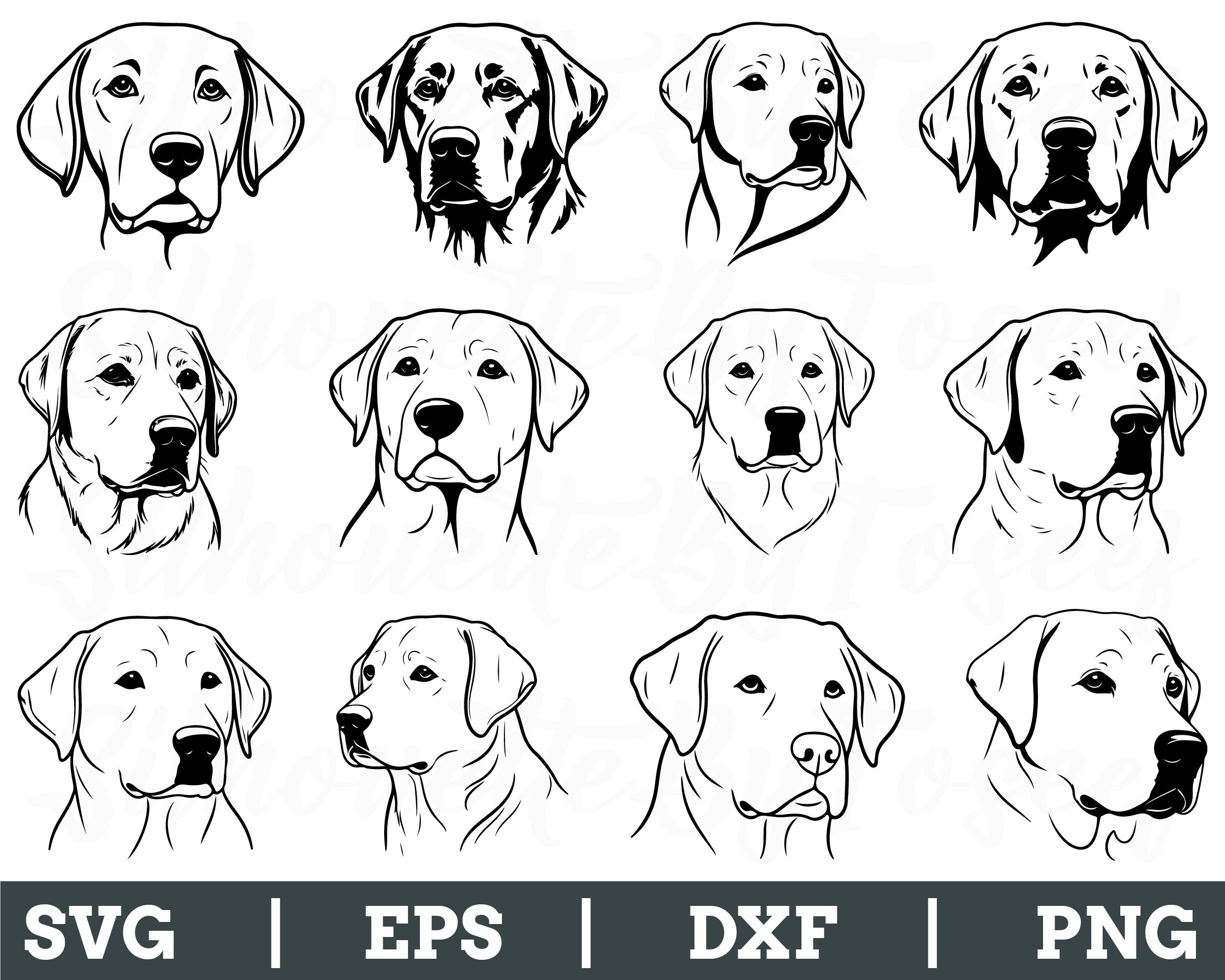 Labrador Retriever Dog Face Svg, Labrador Retriever Silhouette ...