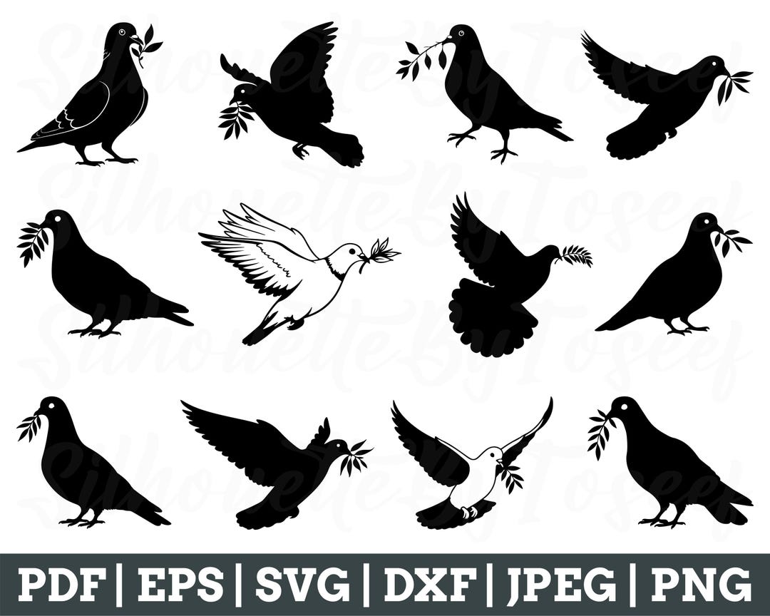 Pigeon With Branch Svg, Pigeon Svg, Pigeon Cut File, Pigeon Silhouette ...