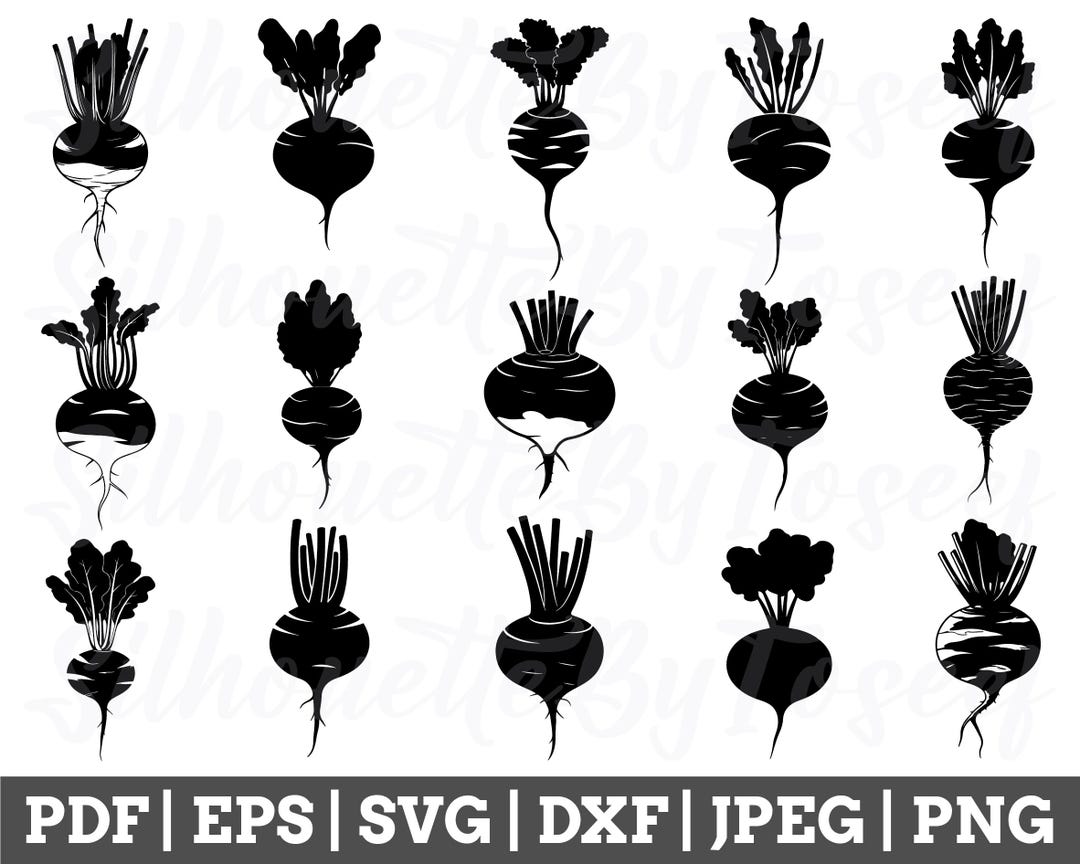 Turnip Svg, Turnip Cut File, Turnip Cricut, Turnip Vector, Turnip ...