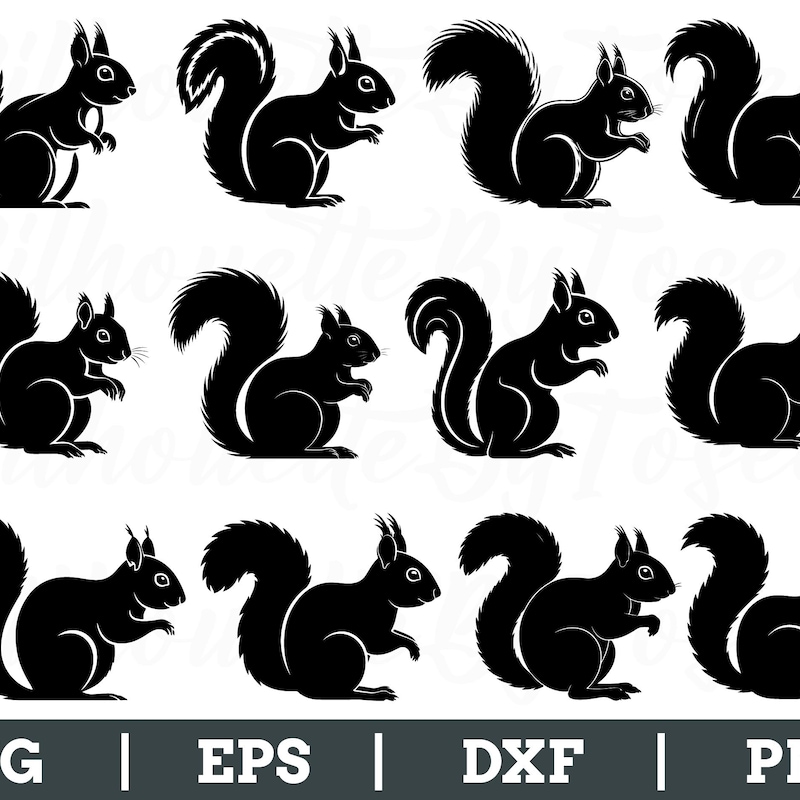 Squirrel Svg - Etsy