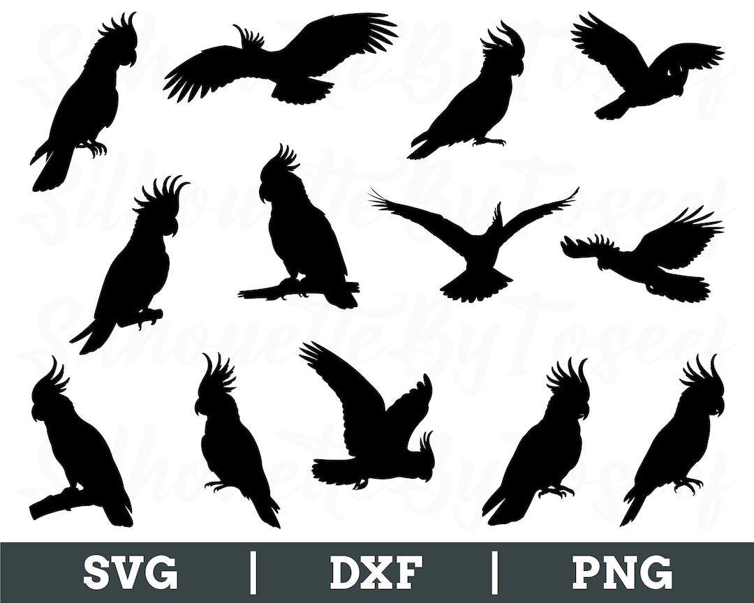 Cockatoo Svg, Cockatoo Cut File, Cockatoo Vector, Cockatoo Silhouette ...