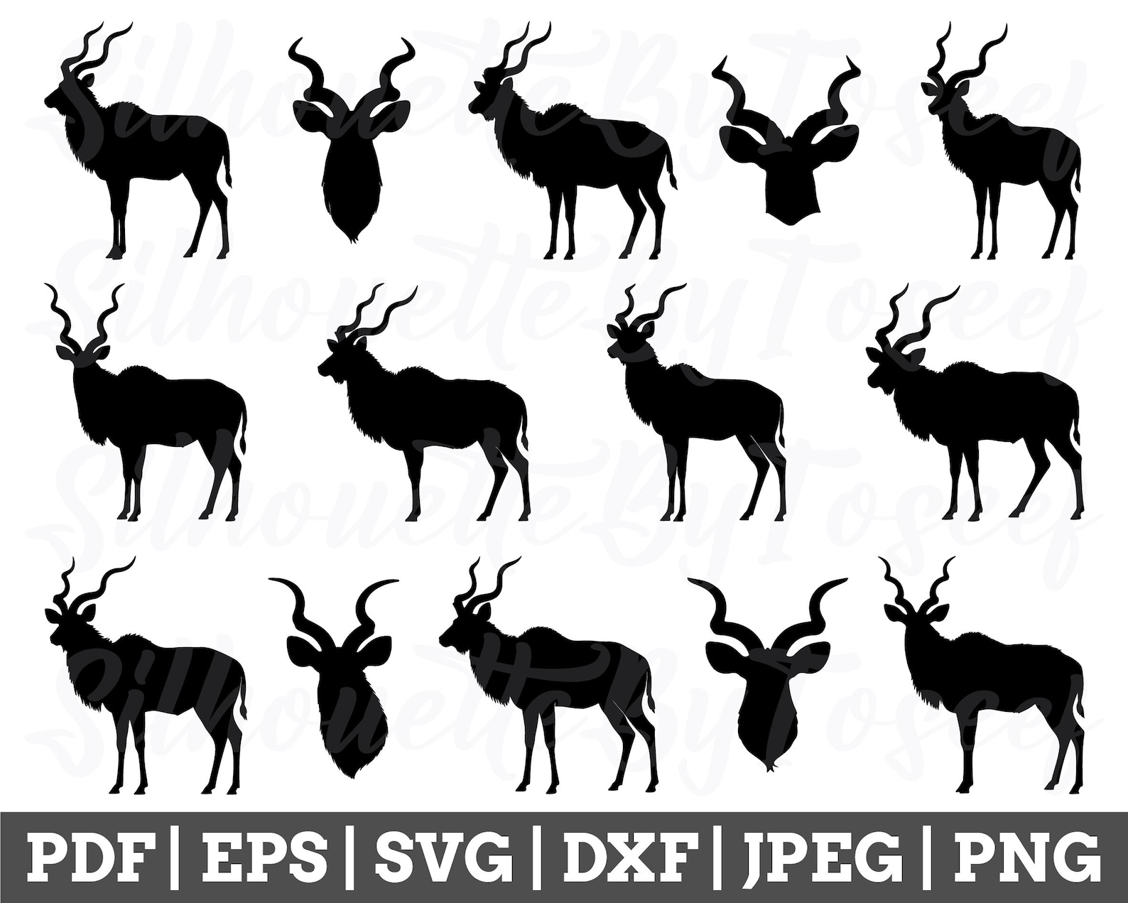 African Kudu Svg, African Kudu Cut File, African Kudu Cricut, African ...