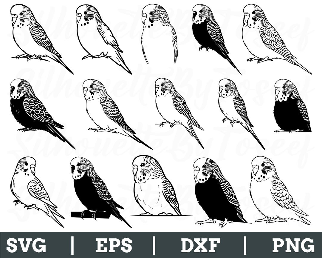 Budgie Parakeet Svg, Budgie Parakeet Bird Silhouette, Budgie Parakeet ...