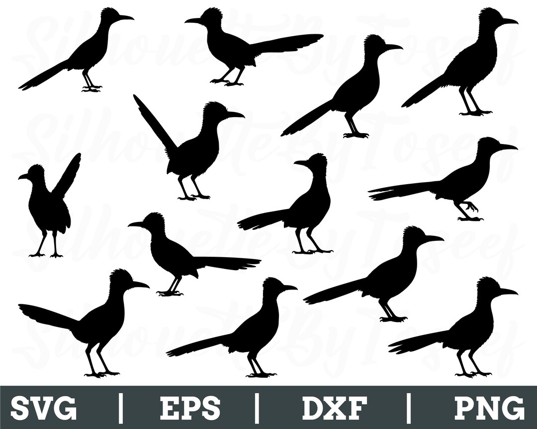Roadrunner Birds Svg, Roadrunner Bird Silhouette, Roadrunner Bird ...