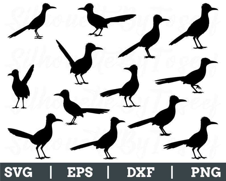 Roadrunner Birds Svg, Roadrunner Bird Silhouette, Roadrunner Bird ...