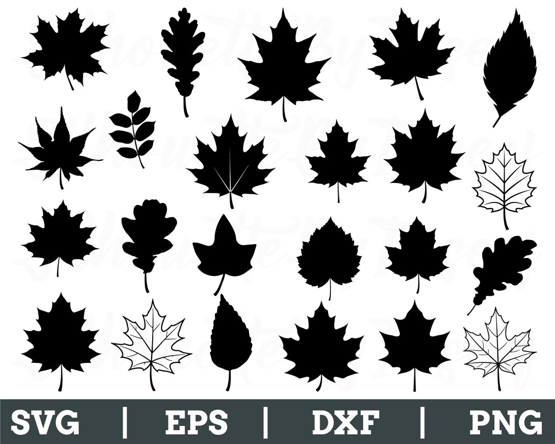 Autumn Leaf Svg, Autumn Leaf Vector, Autumn Leaf Silhouette, Autumn ...