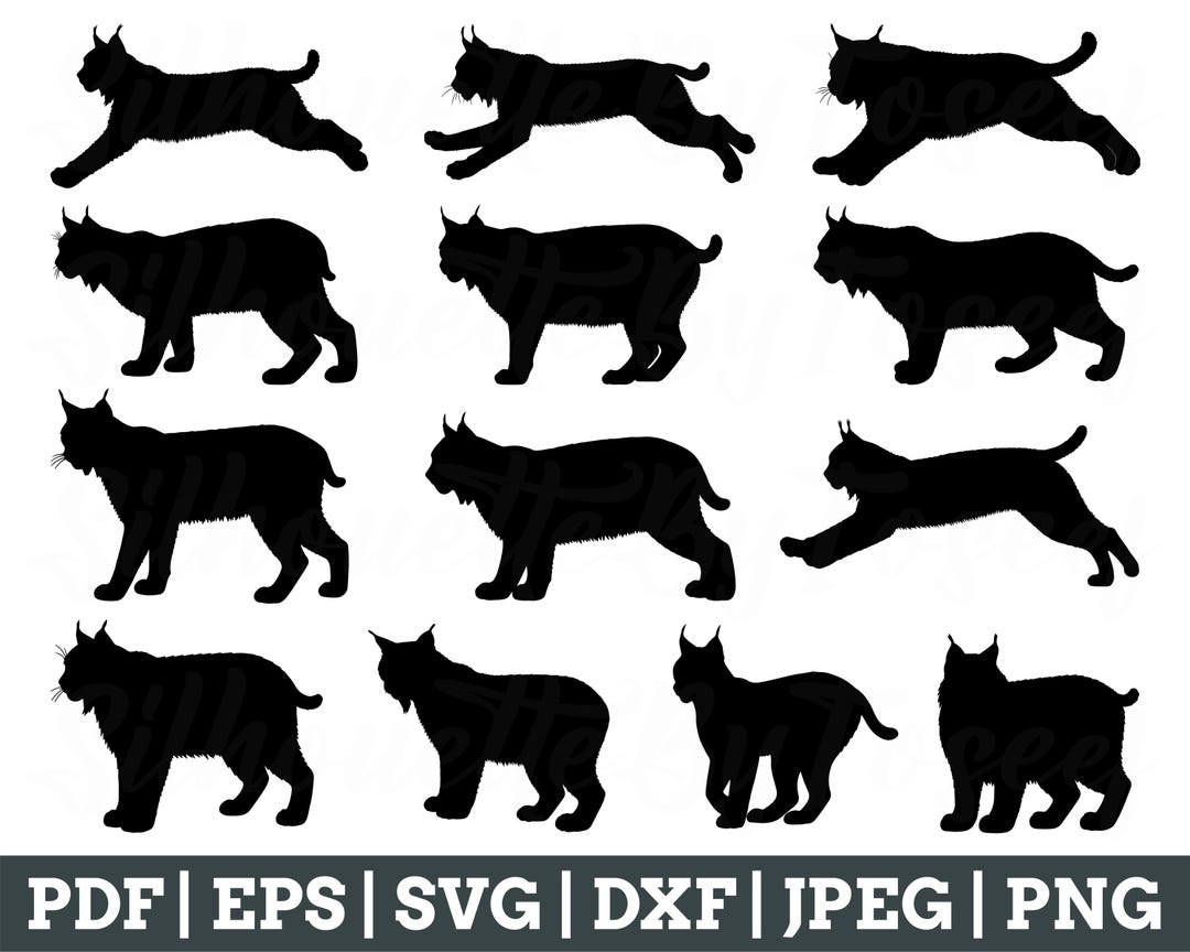 Bobcat Svg, Bobcat Silhouette, Bobcat Cut File, Bobcat Cricut, Bobcat ...