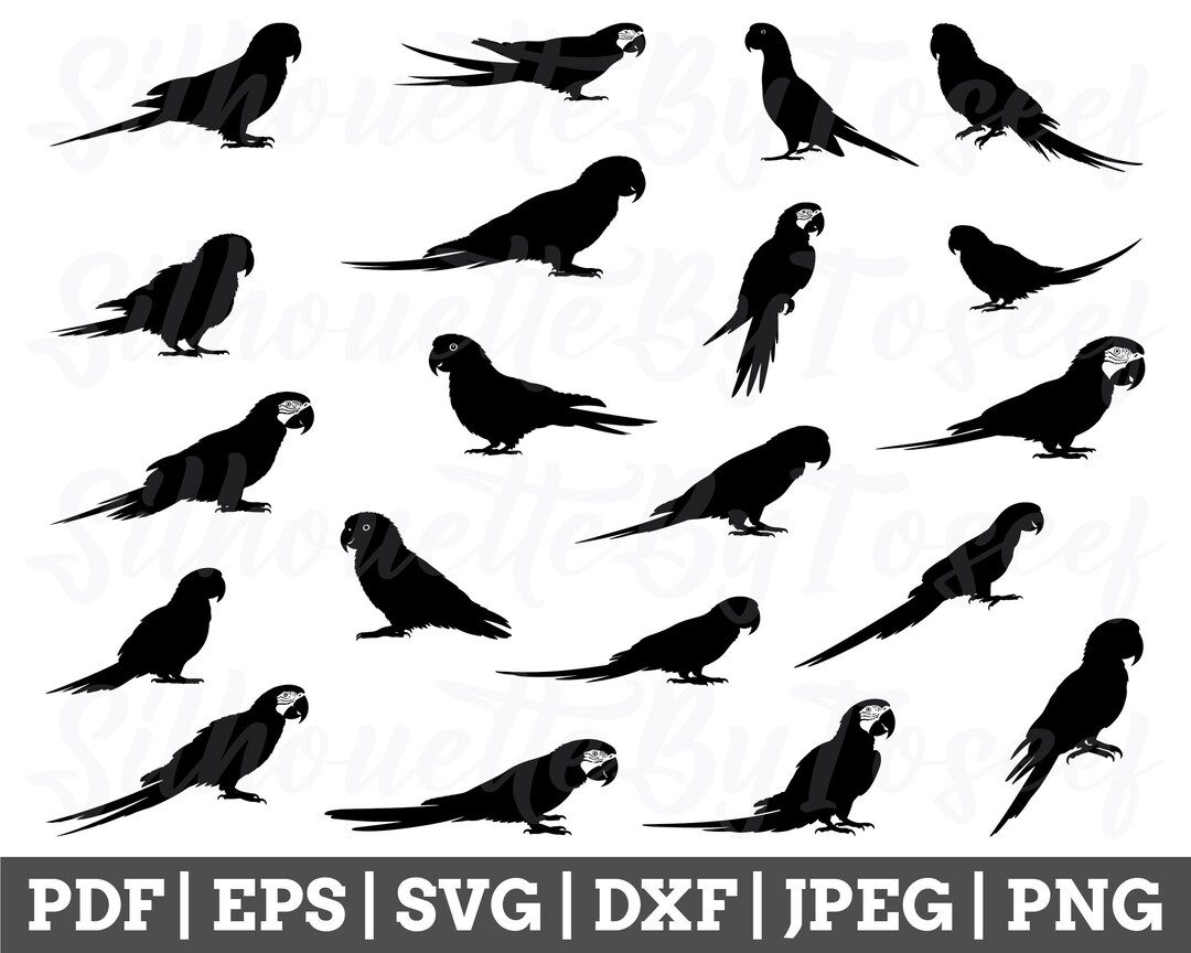 Parrots Svg, Parrot Silhouette, Parrot Cut File, Parrot Cricut, Parrot ...