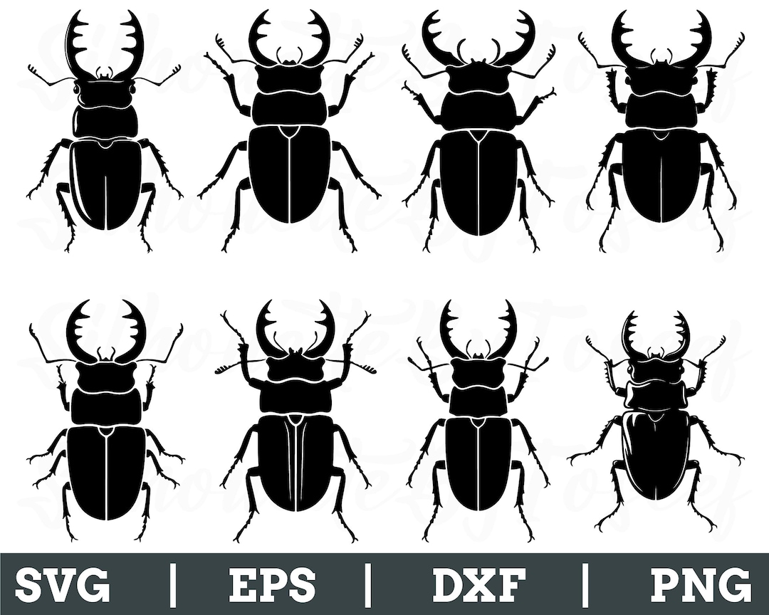 Stag Beetle Svg, Stag Beetle Vector, Stag Beetle Silhouette, Stag ...