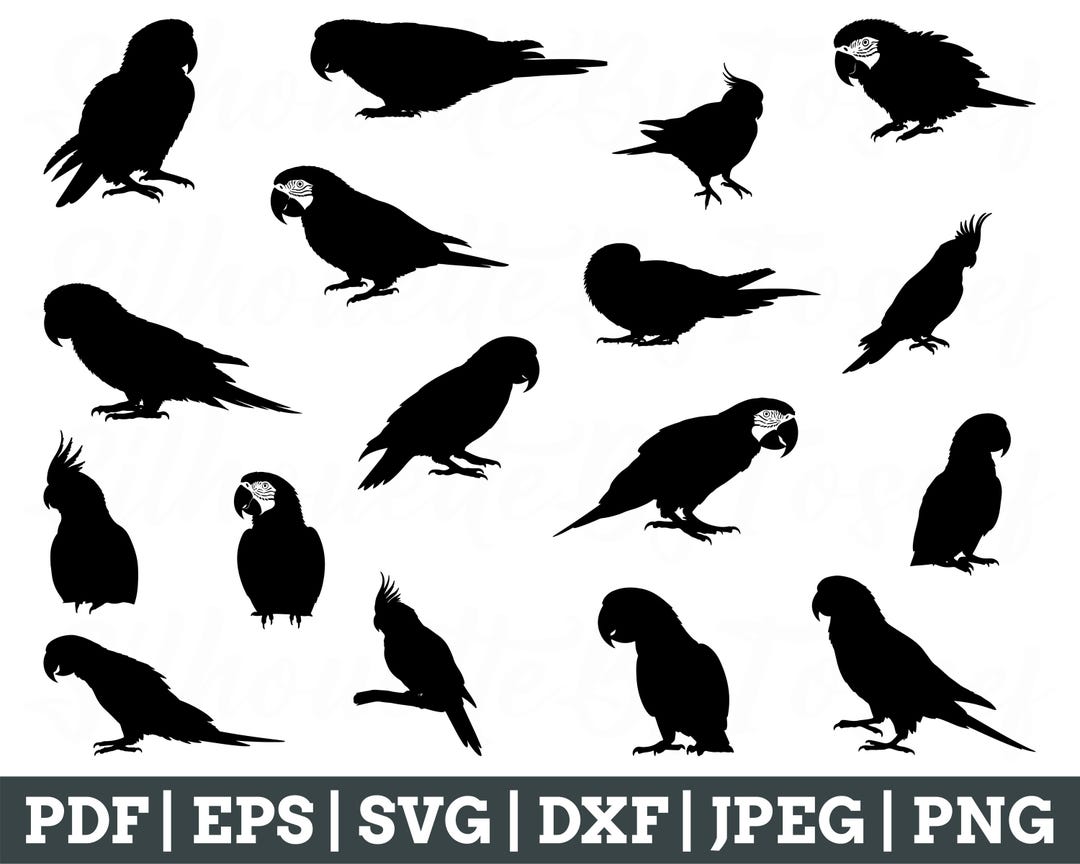 Parrot Svg, Parrot Cut File, Parrot Silhouette, Parrot Vector, Parrot ...