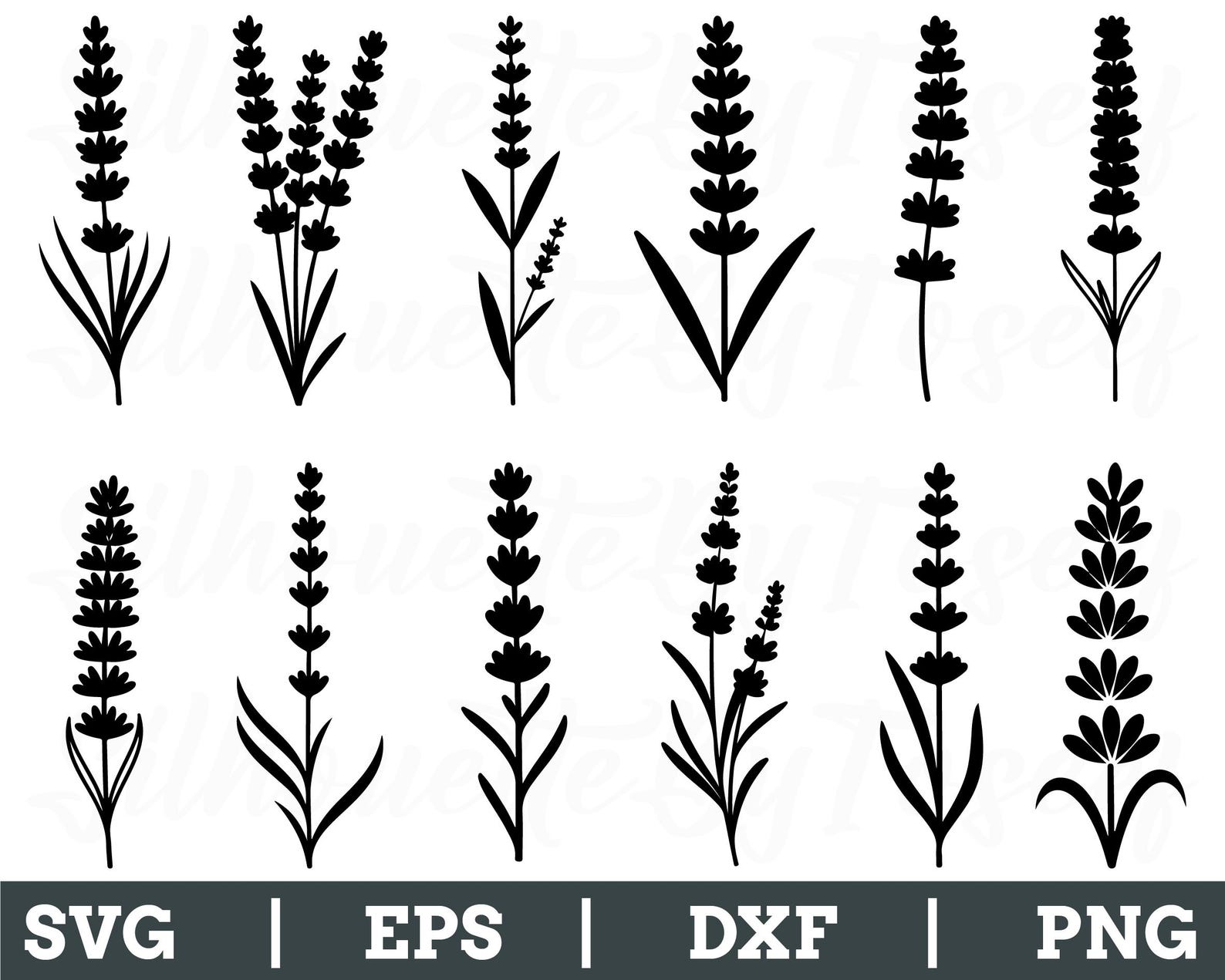 Lavender Flowers Svg, Lavender Flower Vector, Lavender Flower Dxf, Png ...
