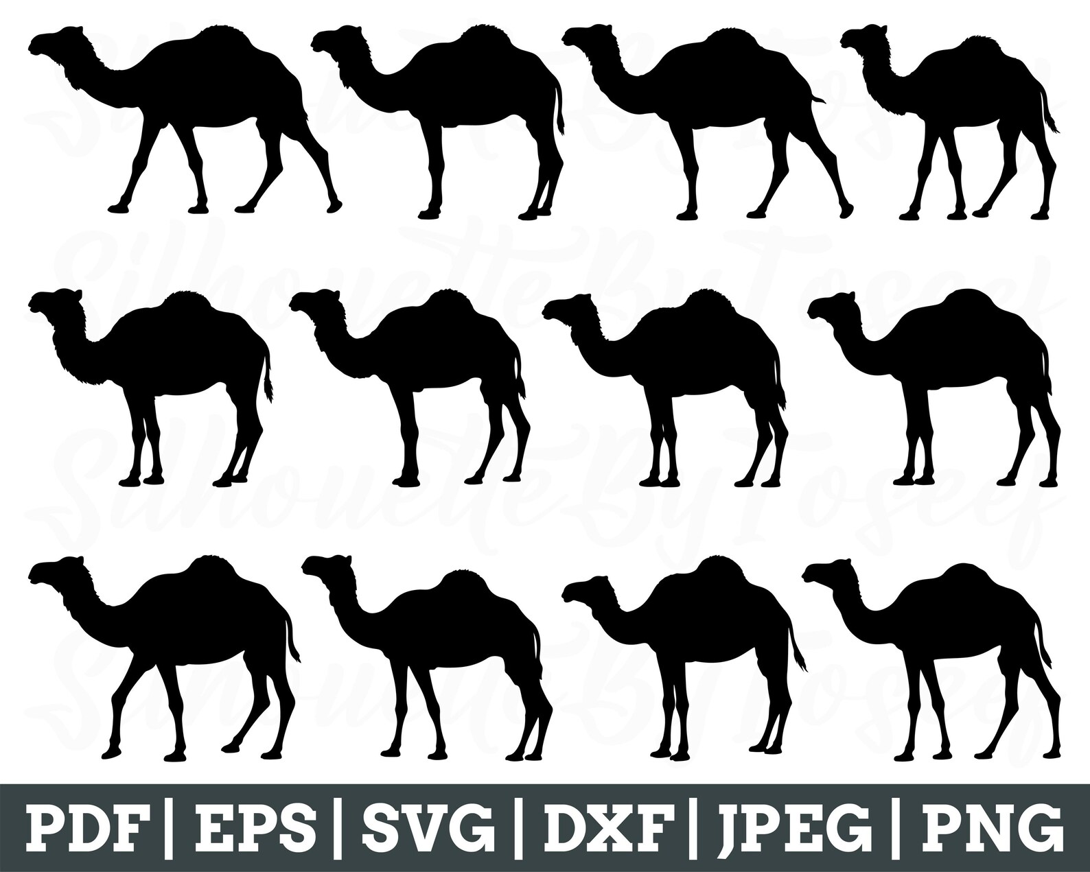 Camel Svg, Camel Silhouette, Camel Cut File, Camel Cricut, Jpeg, Png - Etsy