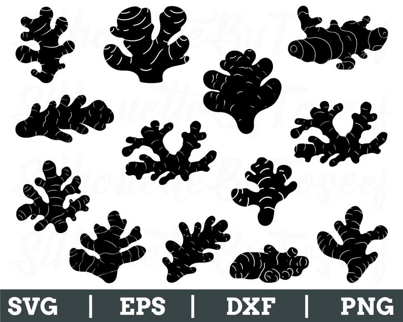 Ginger Svg, Ginger Silhouette, Ginger Vector, Ginger Dxf, Png - Etsy