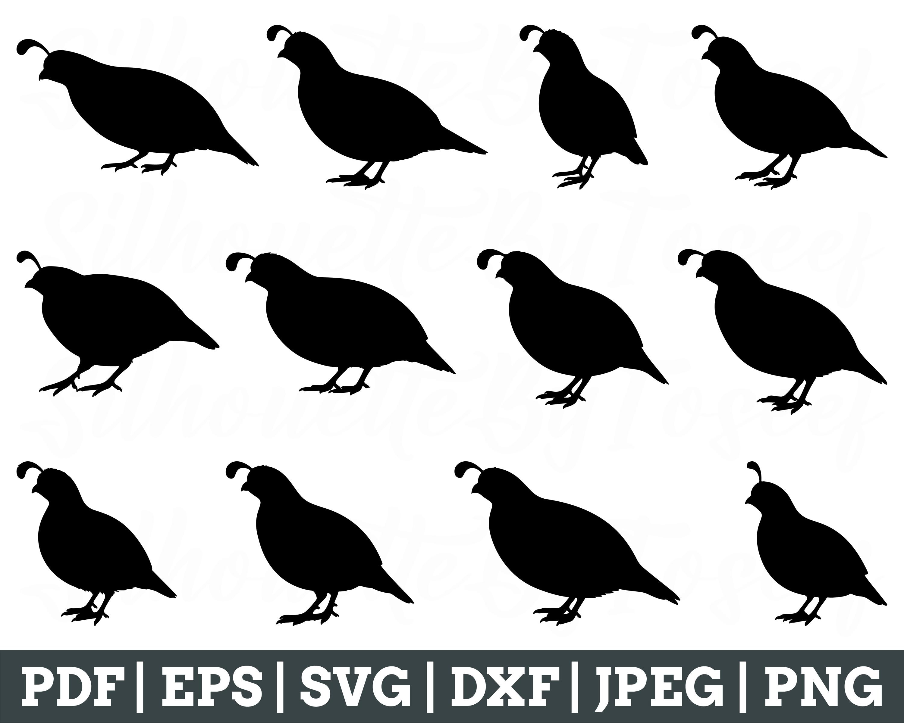 Quail Svg, Quail Bird Silhouette, Quail Cut File, Quail Vector, Quail ...