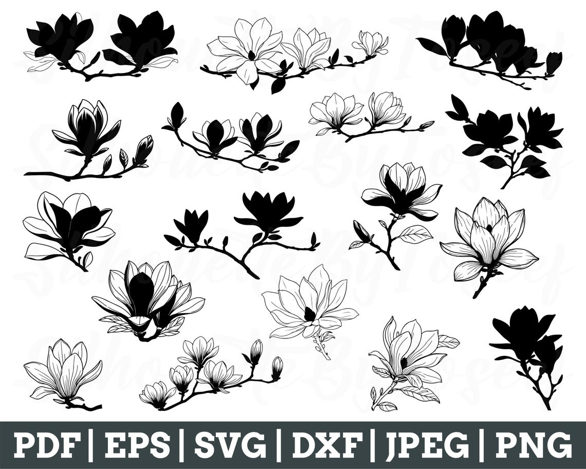 Magnolia Flower Svg, Magnolia Flower Silhouette, Magnolia Flower Cricut ...
