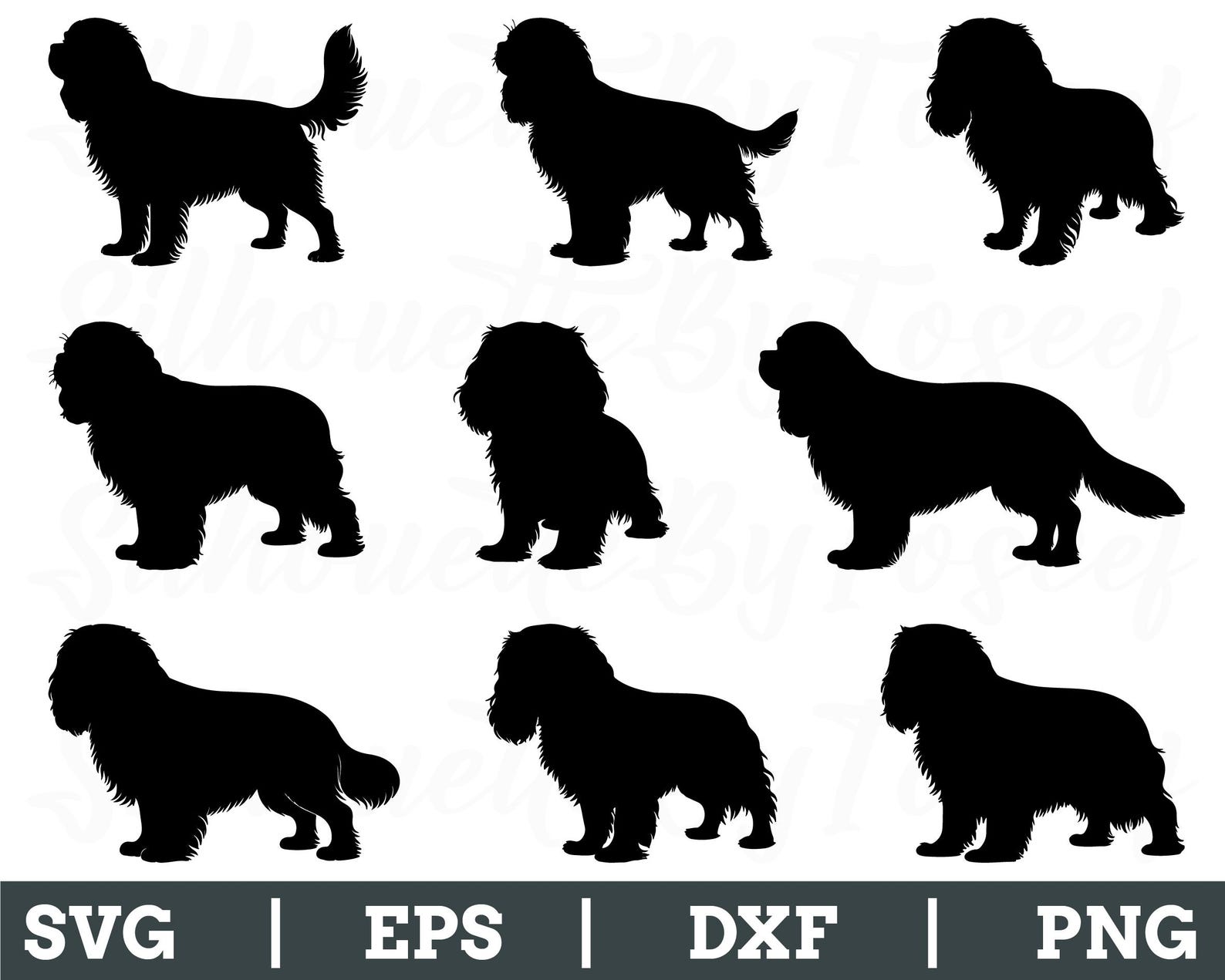 Cavalier King Charles Spaniel Dog Svg, King Charles Dog Silhouette ...