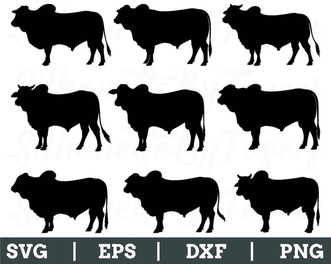 Brahman Bull Svg, Brahman Bull Silhouette, Brahman Bull Vector, Dxf ...