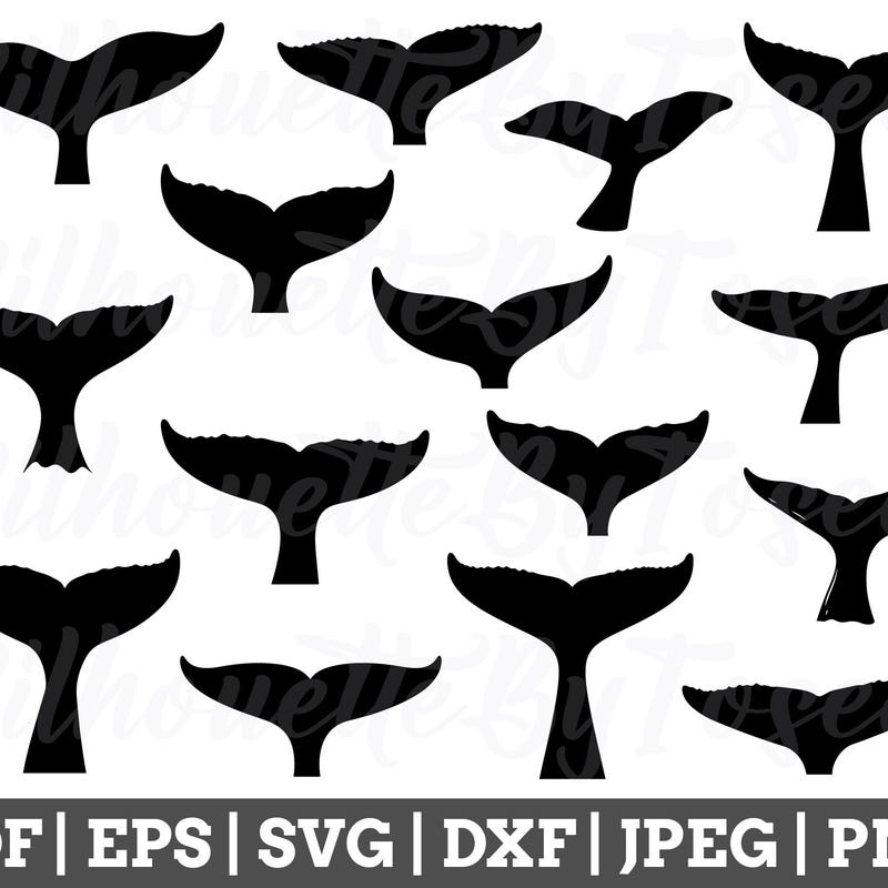 Whale Tail Silhouette Svg - Etsy