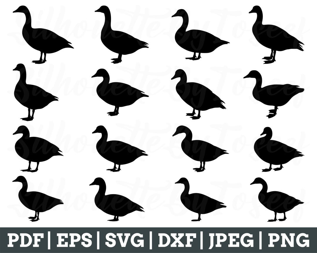 Goose Svg, Goose Silhouette, Canada Goose Vector, Goose Cut File, Goose ...