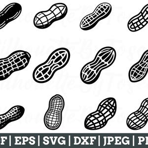 Peanut Svg, Peanut Cut File, Peanut Vector, Peanut Silhouette, Peanut ...
