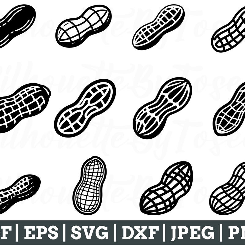 Peanut Svg - Etsy
