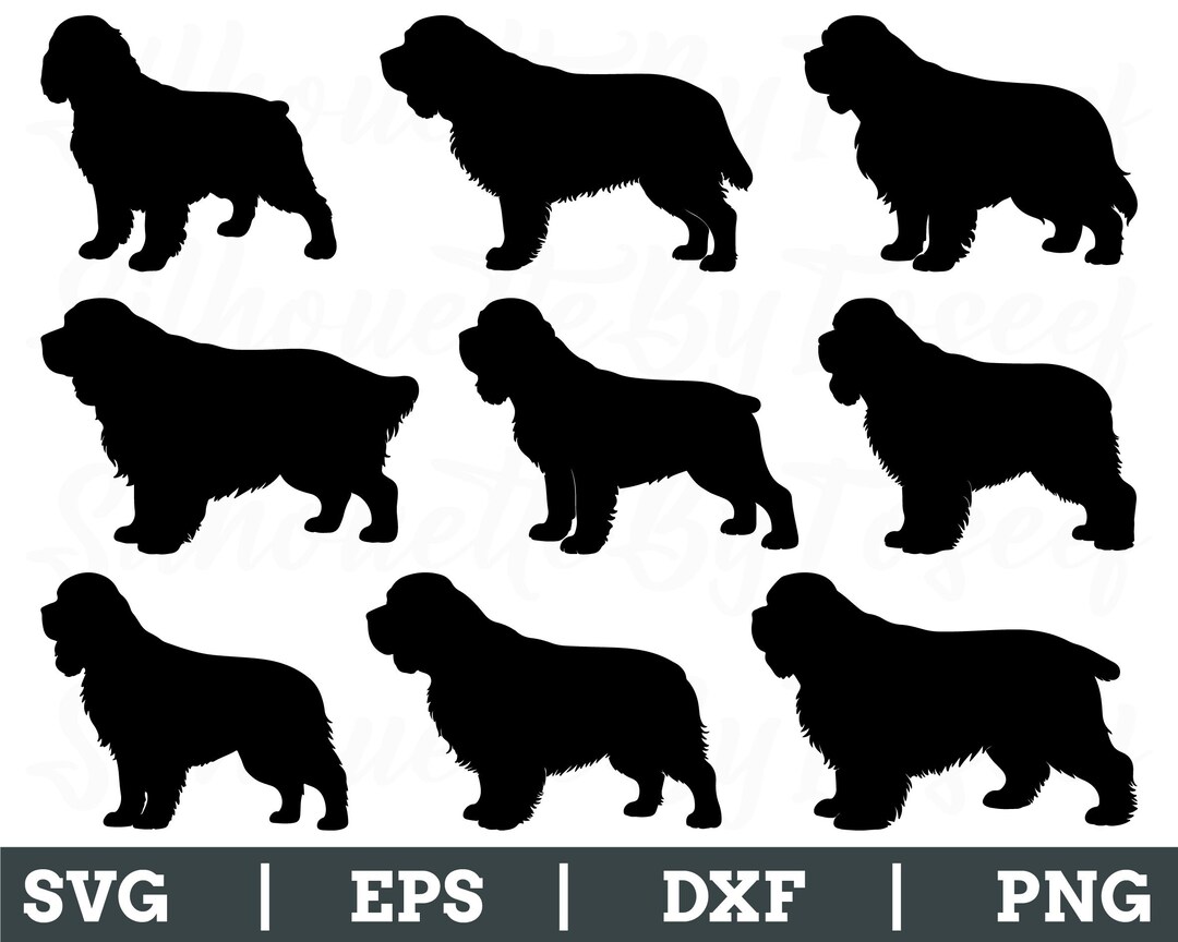Clumber Spaniel Svg, Clumber Spaniel Vector, Clumber Spaniel Dog Vector ...