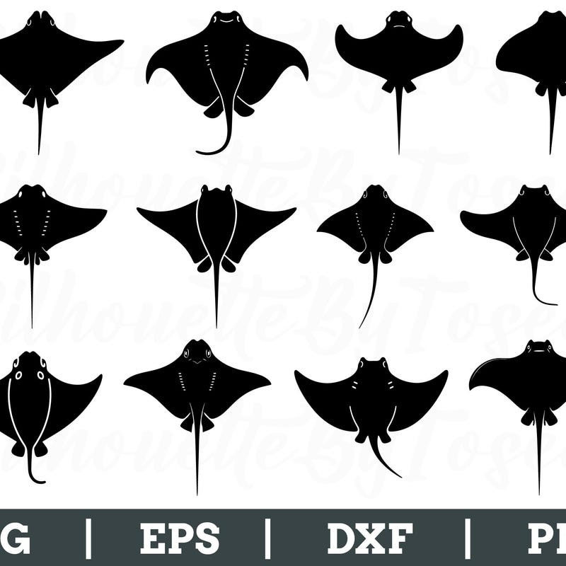 Stingray Vector Art - Etsy