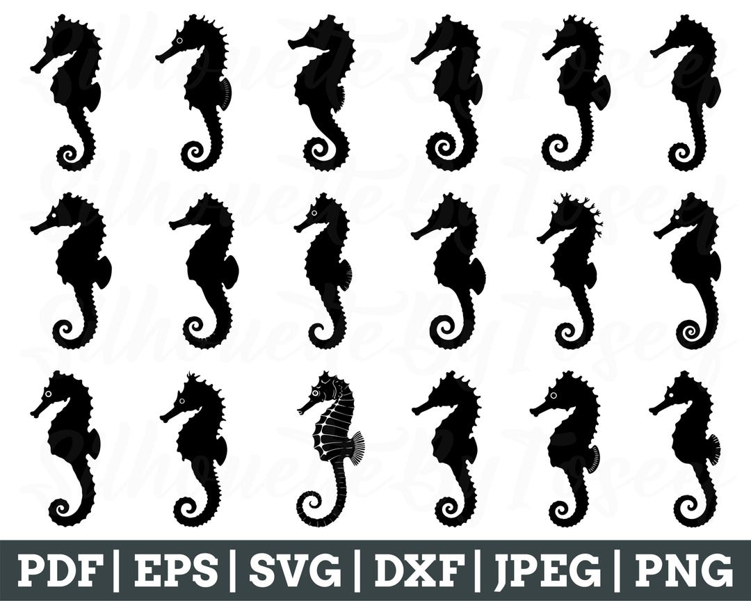 Seahorse Svg, Seahorse Cut File, Seahorse Silhouette, Seahorse Vector ...