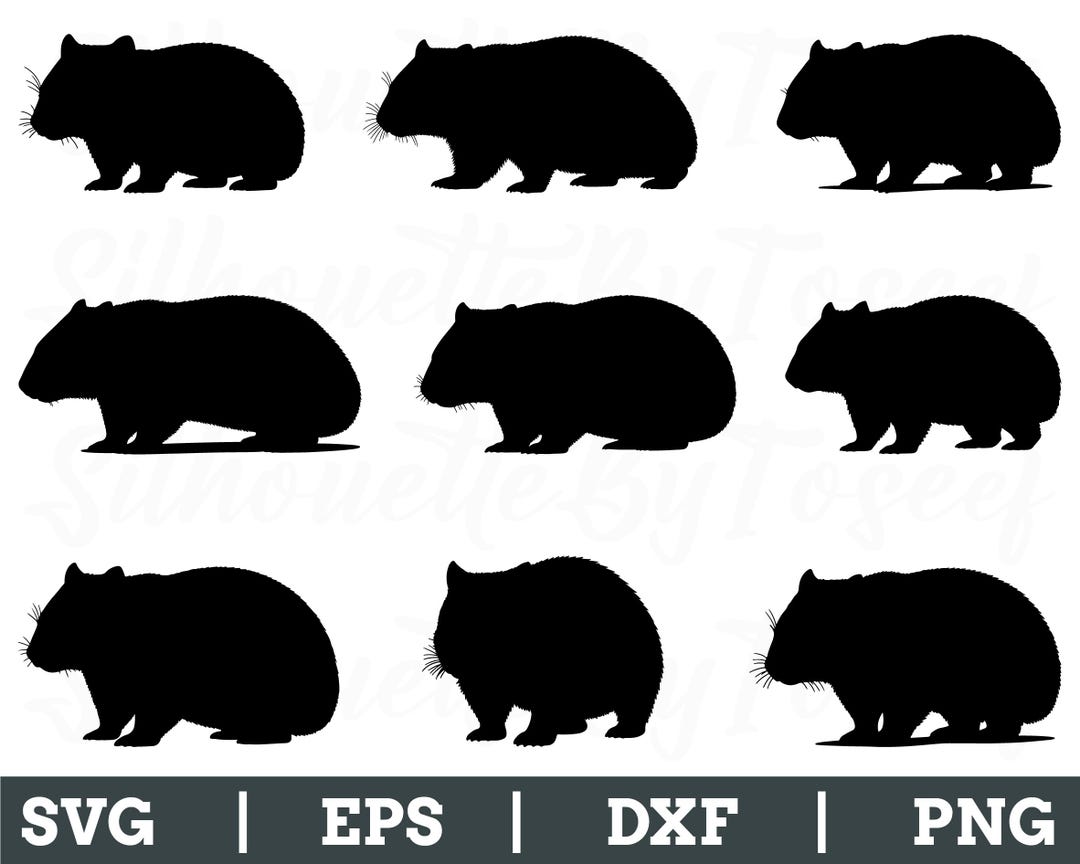 Wombat Svg, Wombat Silhouette, Wombat Cut File, Wombat Vector, Png - Etsy
