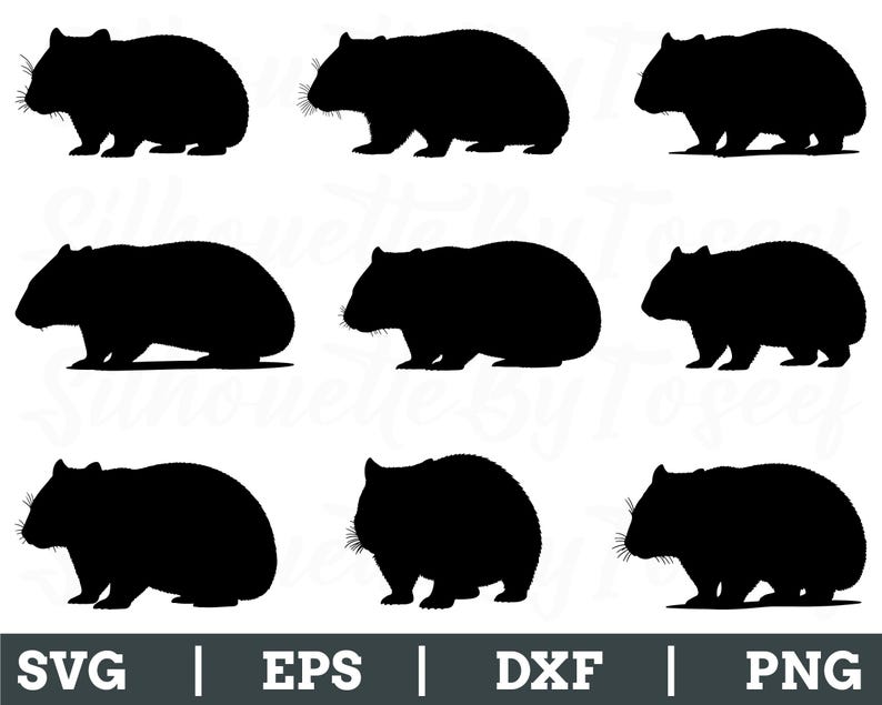 Wombat Svg, Wombat Silhouette, Wombat Cut File, Wombat Vector, Png ...