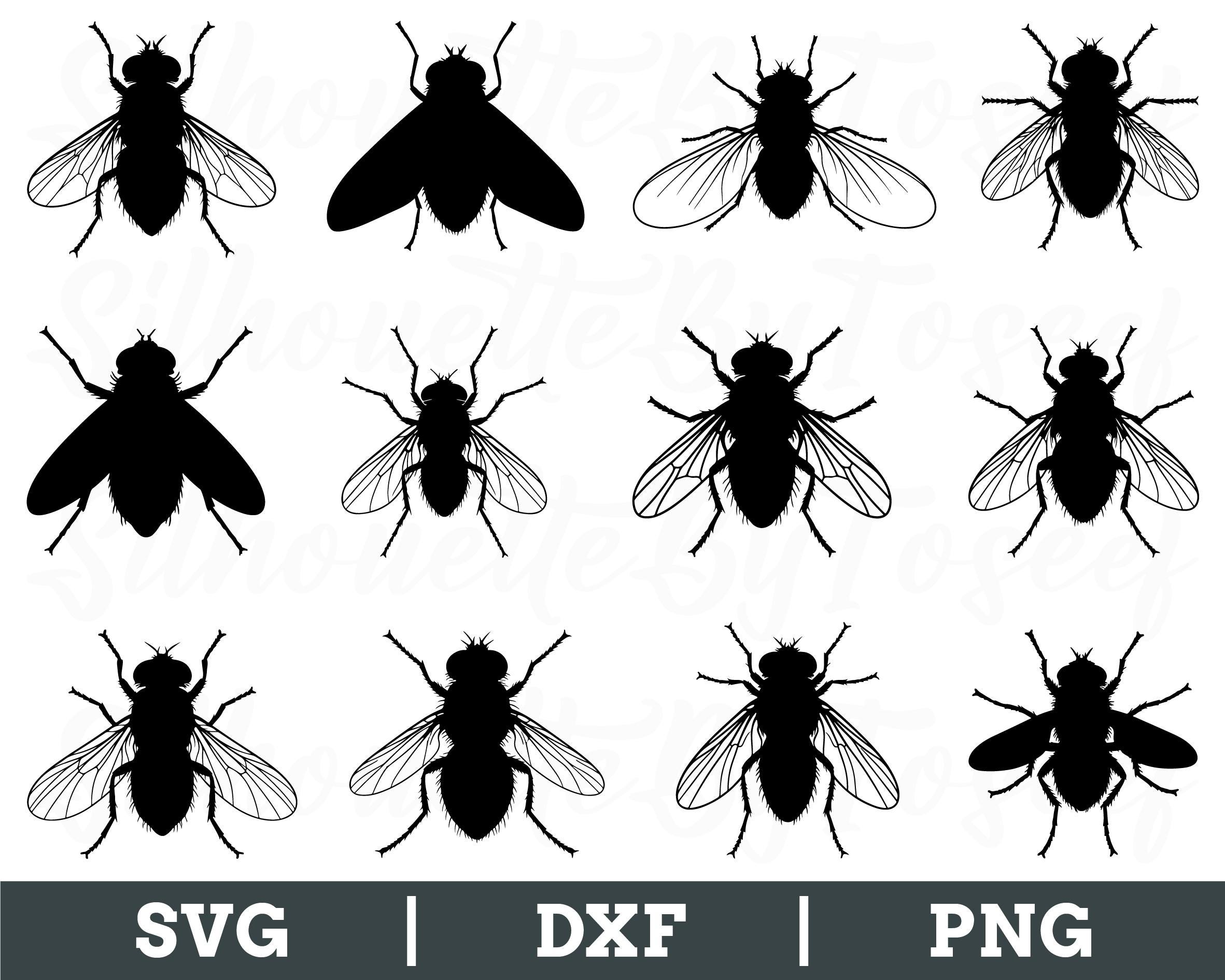 Flies Svg, Flies Silhouette, Fly Cut File, Fly Vector, Fly Dxf, Png - Etsy