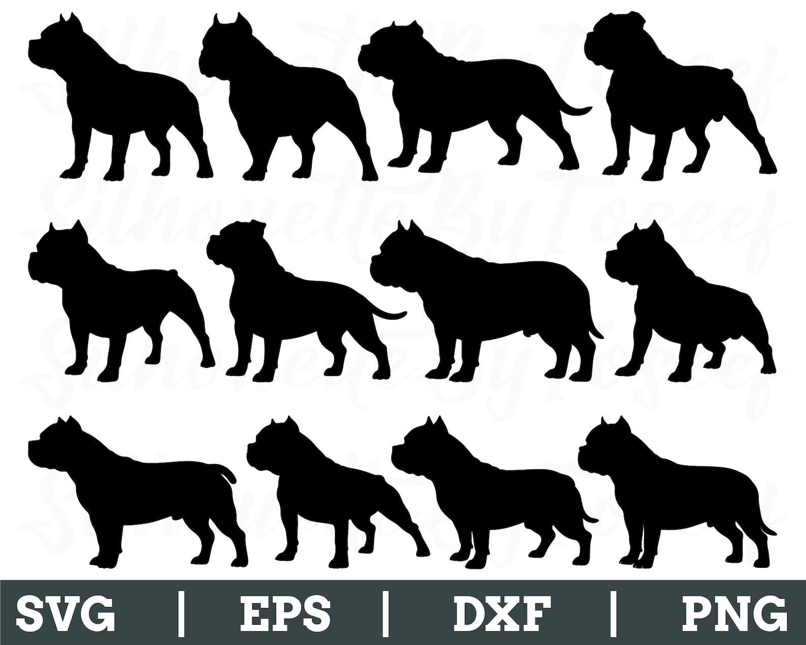 American Bully Svg, American Bully Silhouette, American Bully Vector ...