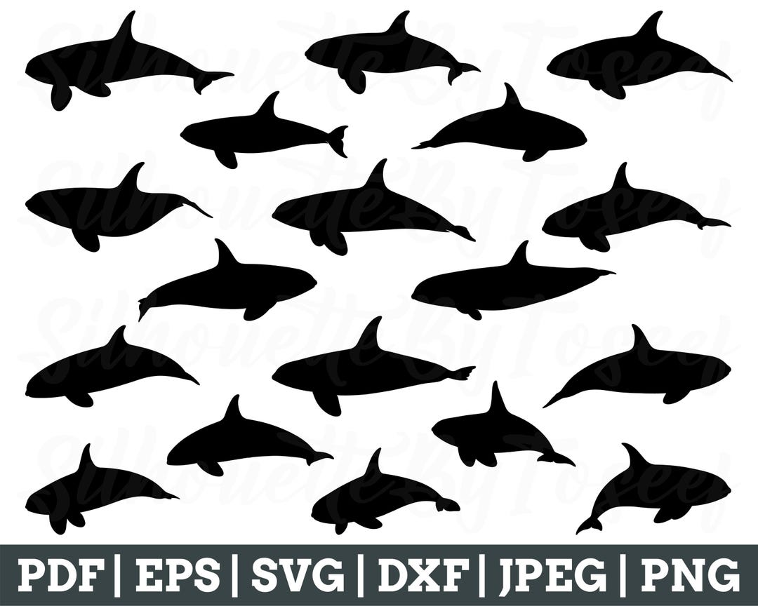 Killer Whale Svg, Killer Whale Cut File, Killer Whale Vector, Killer ...