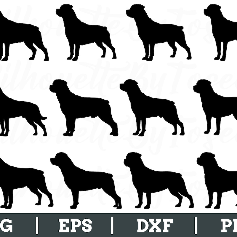 Rottweiler Drawing Png - Etsy