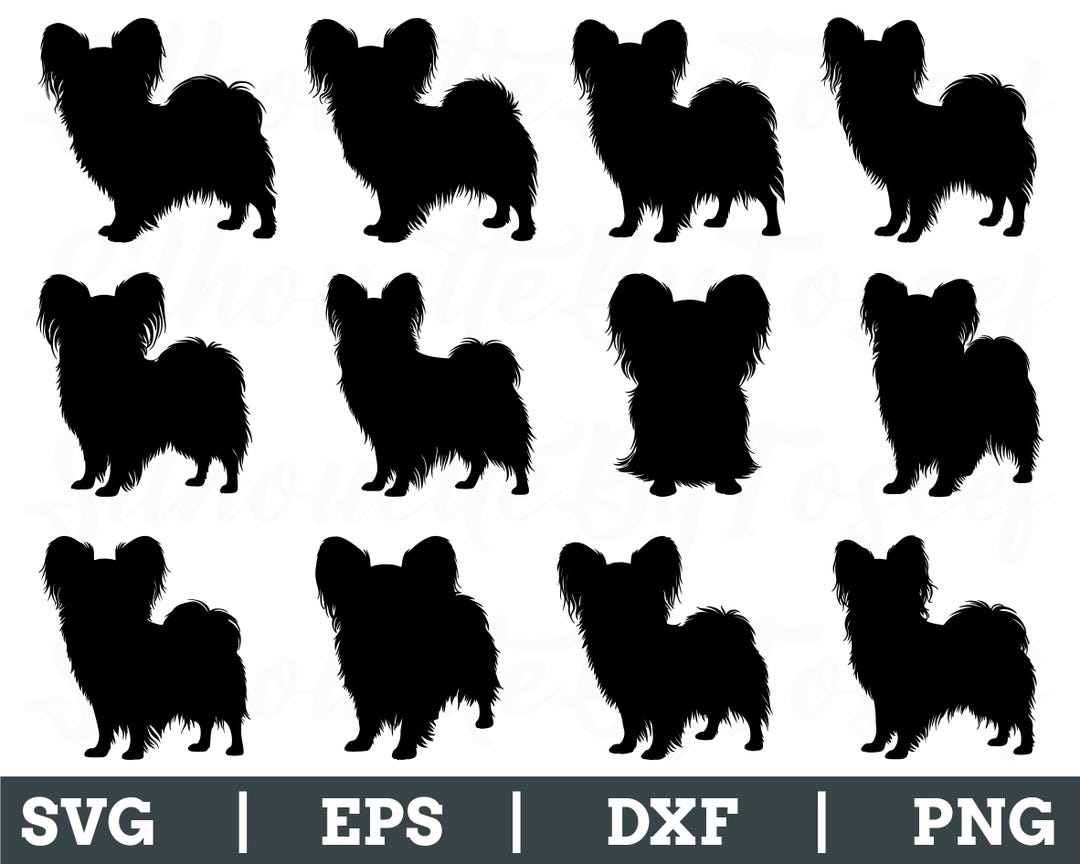 Papillon Dog Svg, Papillon Silhouette, Papillon Vector, Papillon Cut ...