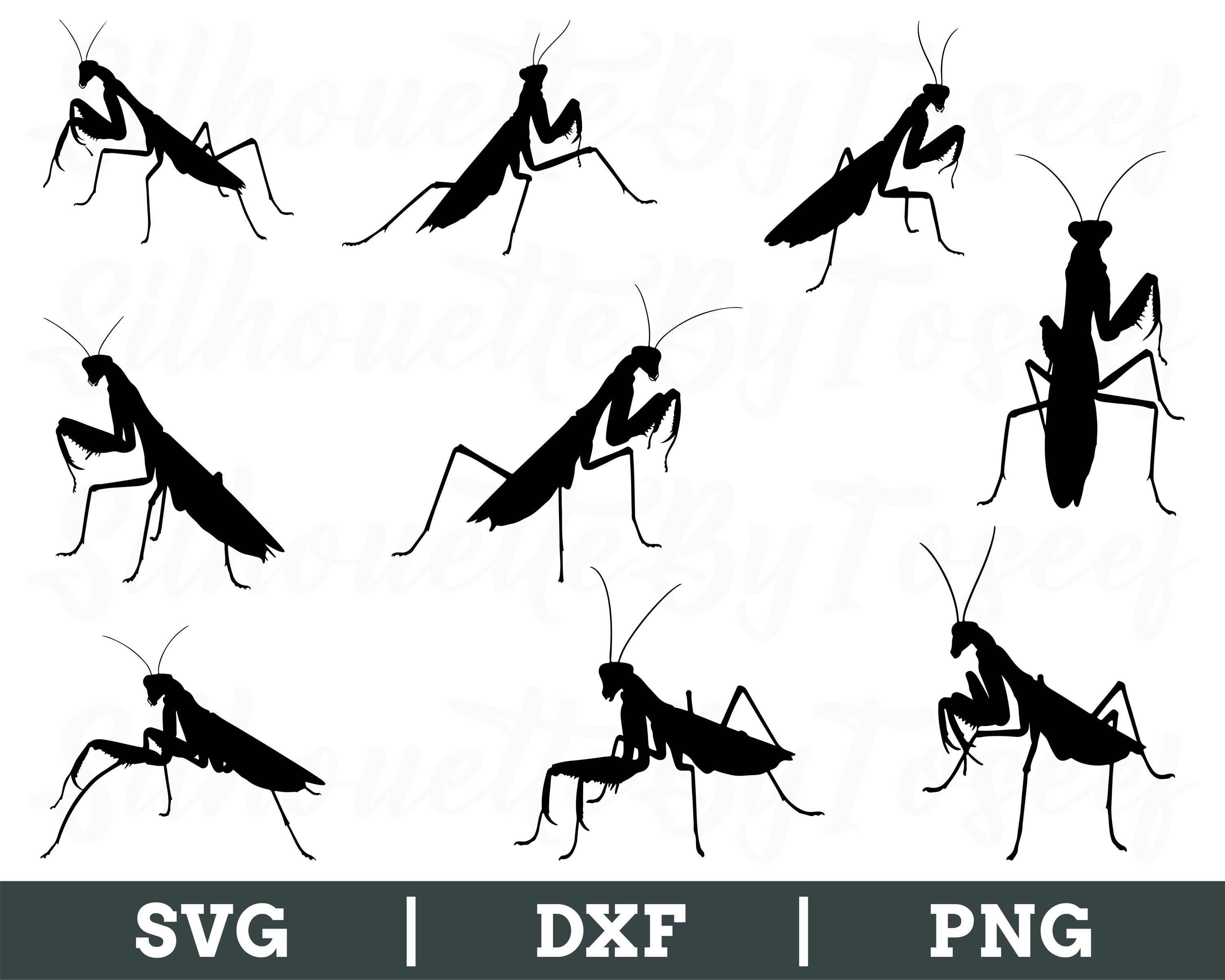Mantis Svg, Mantis Vector, Mantis Silhouette, Mantis Cricut, Mantis Dxf ...