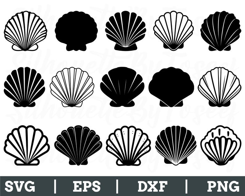 Seashells Svg, Seashell Silhouette, Seashell Cut File, Seashell Vector ...