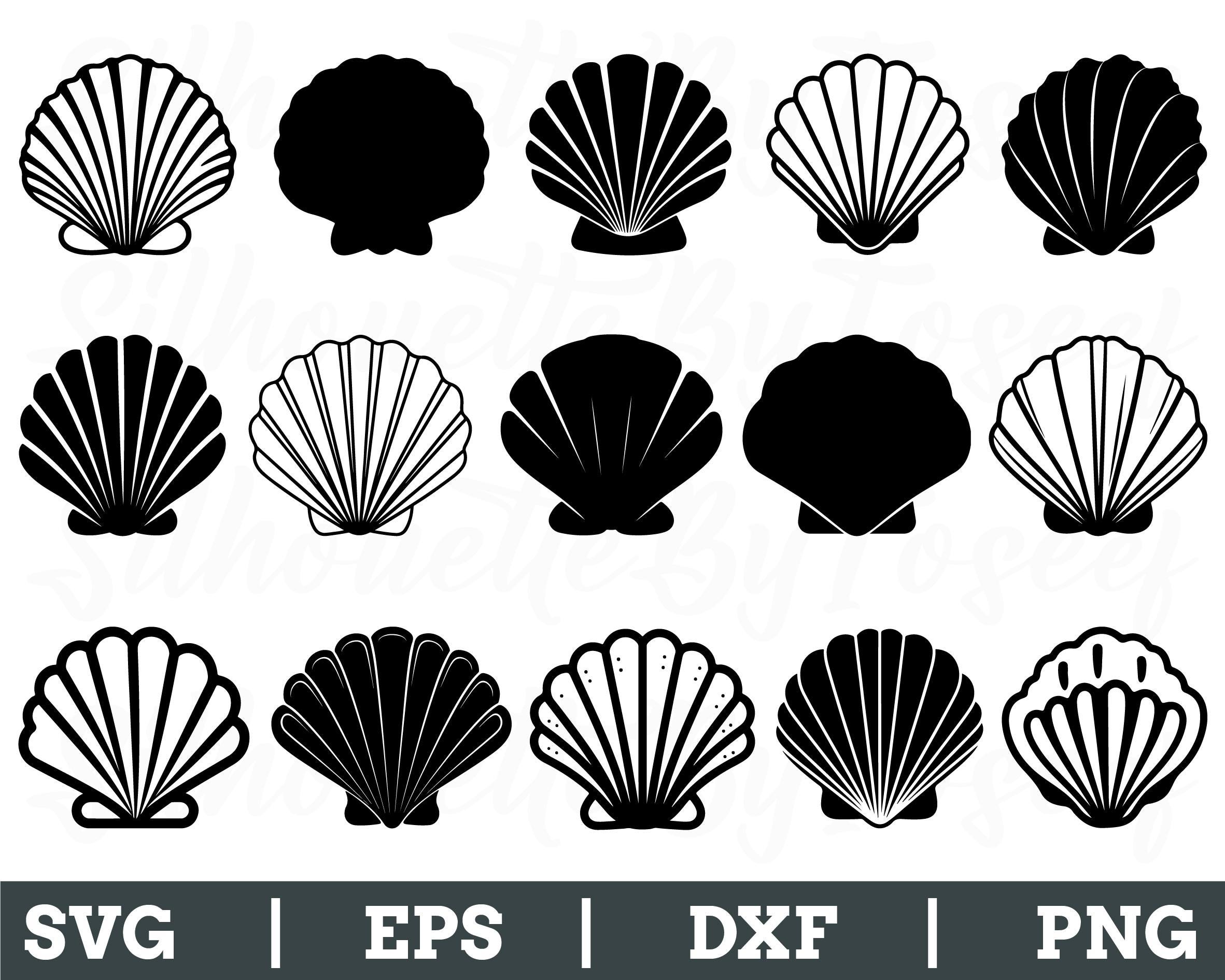 Seashells Svg, Seashell Silhouette, Seashell Cut File, Seashell Vector ...
