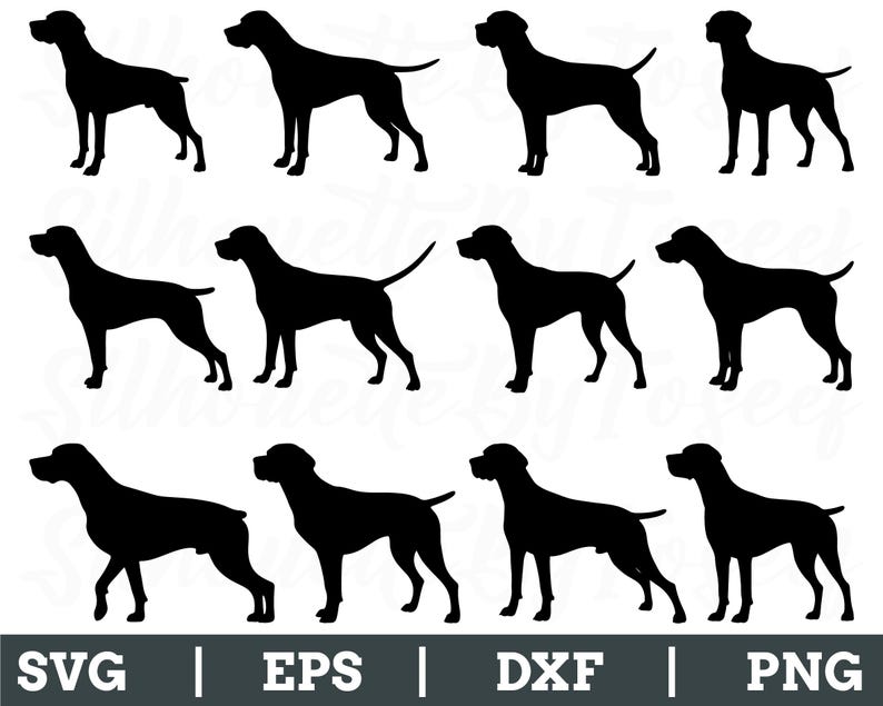 English Pointer Dog Svg, English Pointer Silhouette, English Pointer ...