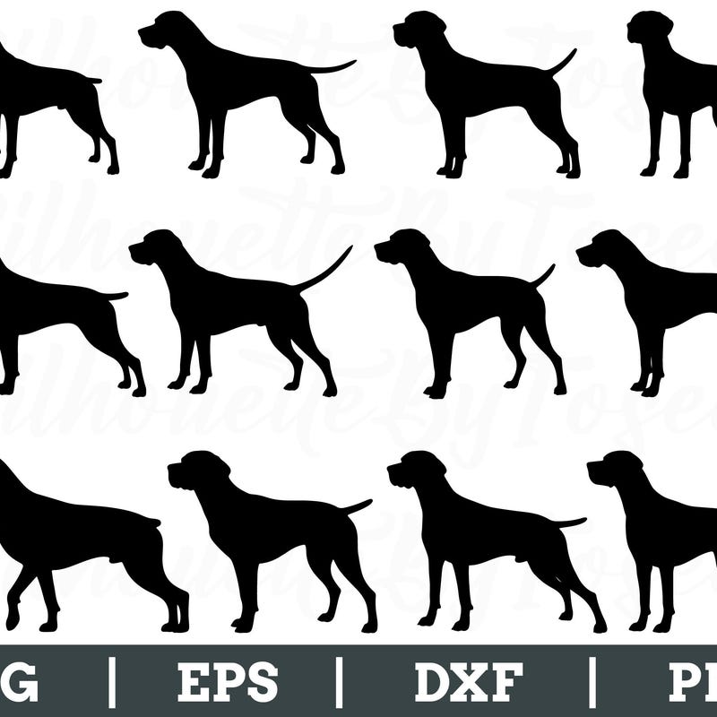 English Pointer Dog - Etsy