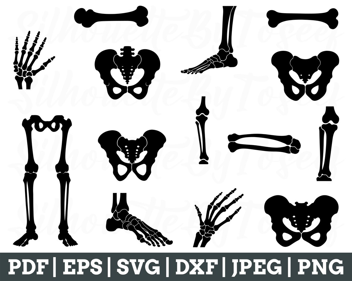 Human Bones Svg, Bone Vector, Bones Silhouette, Hip Bone, Jpeg, Png - Etsy