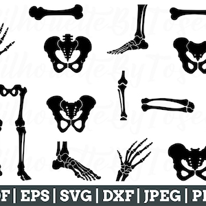 Human Bones Svg, Bone Vector, Bones Silhouette, Hip Bone, Jpeg, Png - Etsy