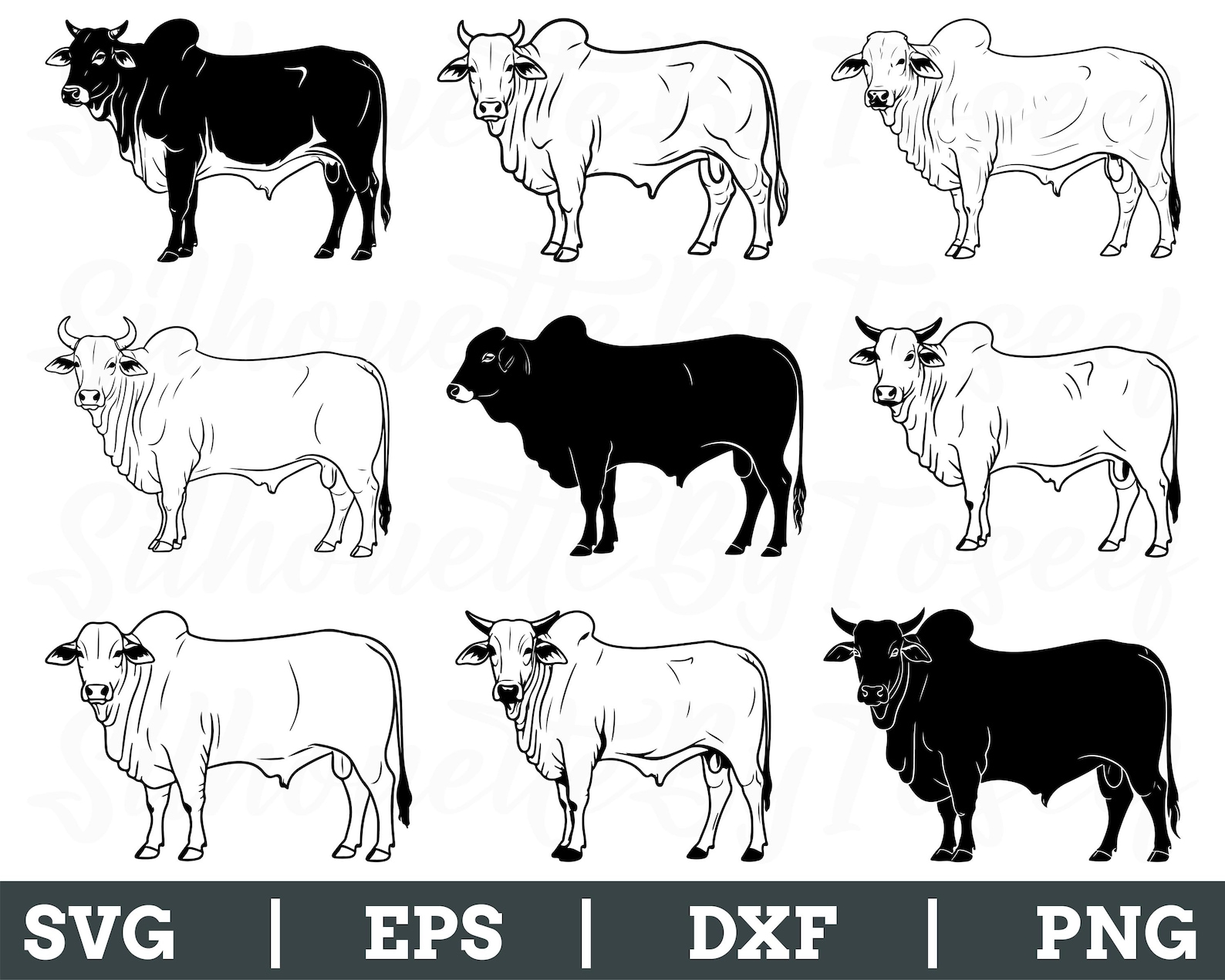 Brahman Bull Svg, Brahman Bull Silhouette, Brahman Bull Vector, Dxf ...